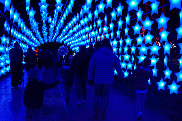 Loop North News - ‘Lightscape’ captures the brilliance of the holidays ...